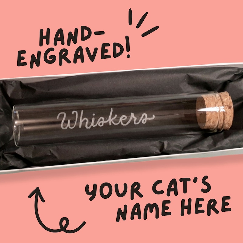 Whisker Collector - Etsy