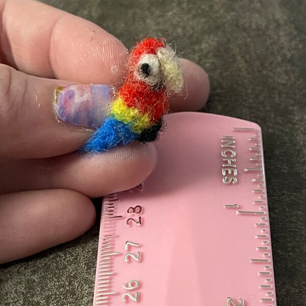 Needle Felted Parrot - Etsy
