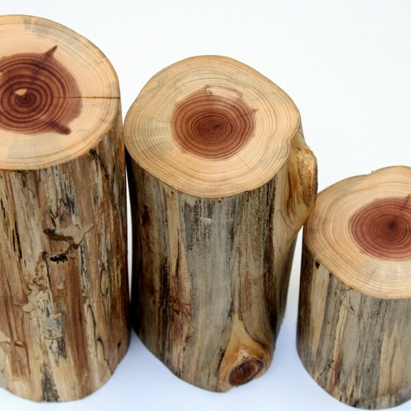 Wood Display Stand - Etsy