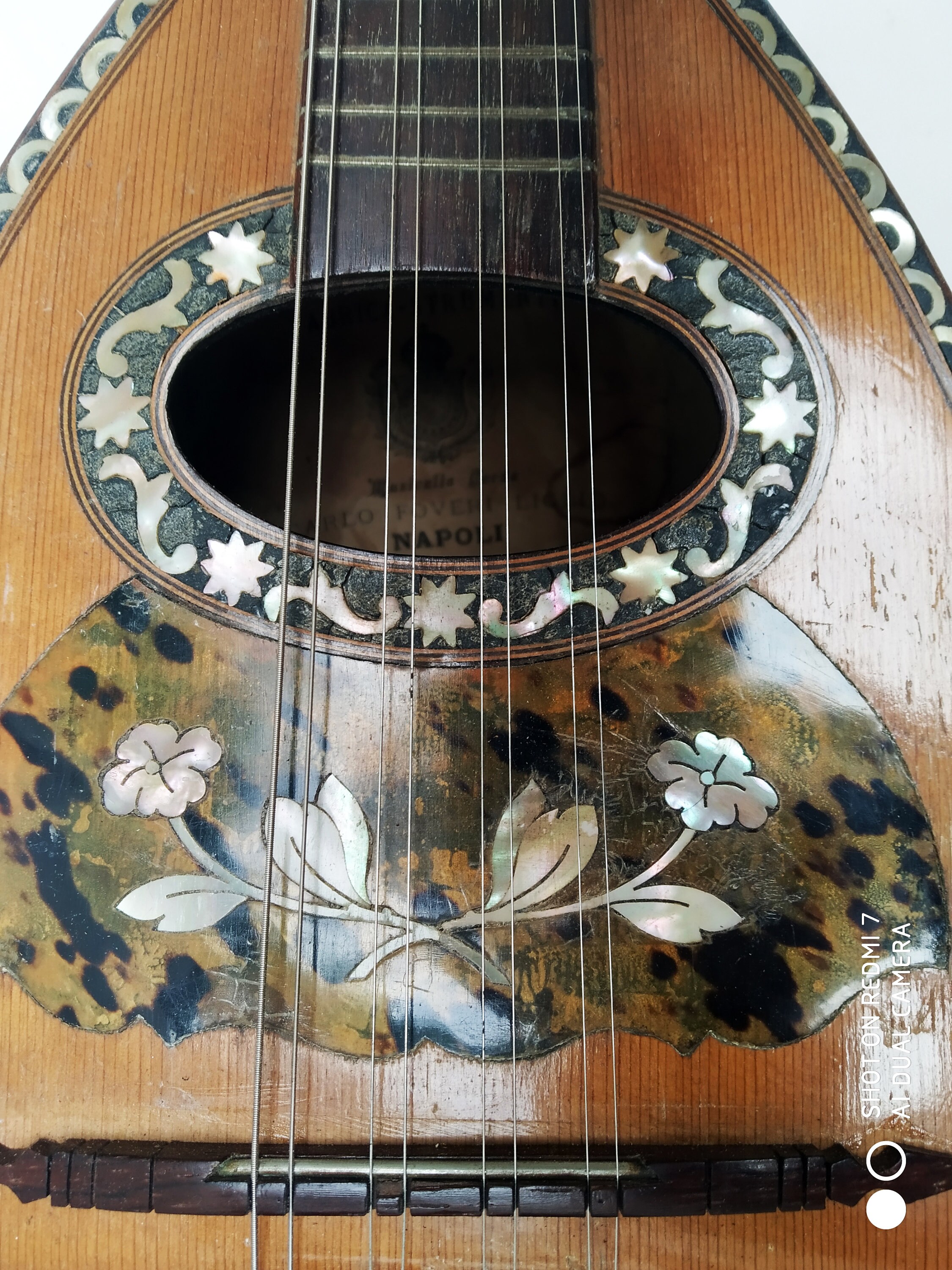 Carlo Foveri Liglio Napolitan mandolin in perfect condition rosewood ...