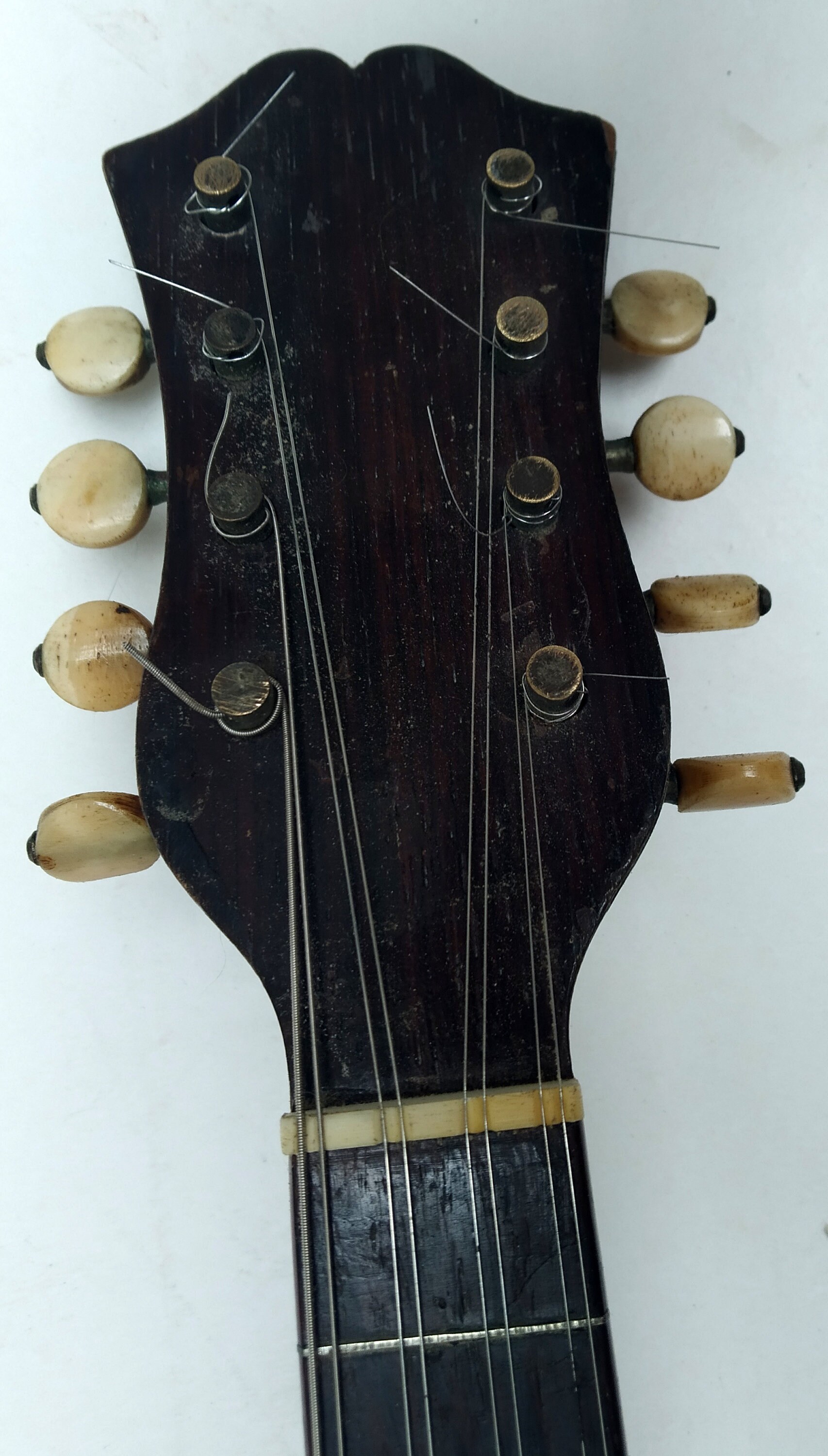 Carlo Foveri Liglio Napolitan mandolin in perfect condition rosewood ...