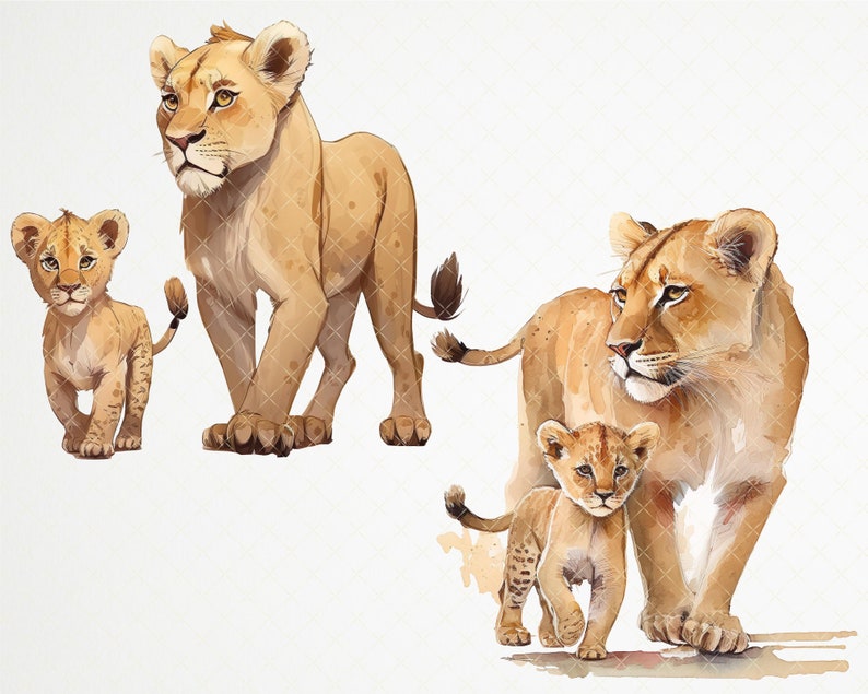 Lion Png Lion Mom and Baby Watercolor Clipart Animal Mother - Etsy