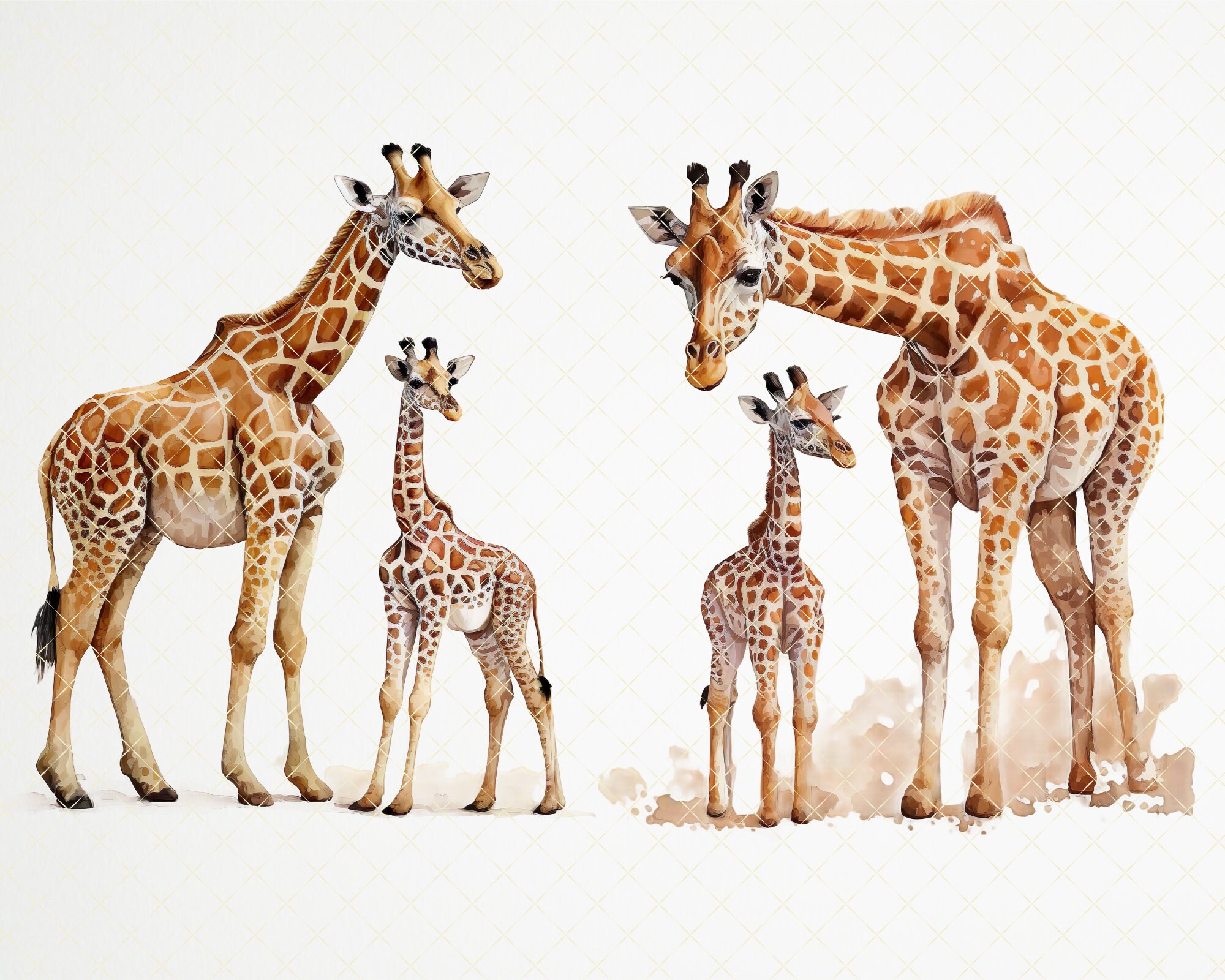 Giraffe Png, Giraffe Mom and Baby Watercolor Clipart, Animal Mother Day ...