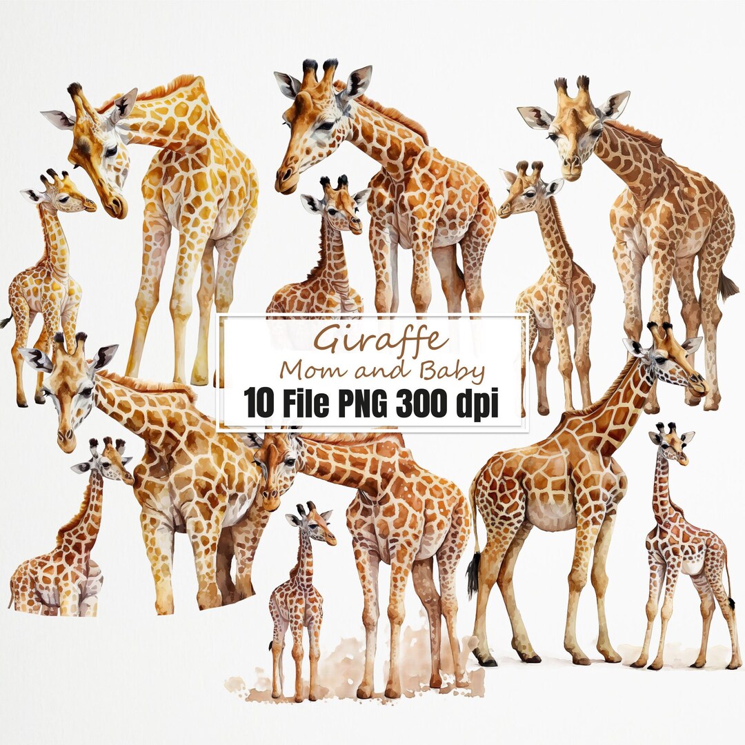 Giraffe Png, Giraffe Mom and Baby Watercolor Clipart, Animal Mother Day ...