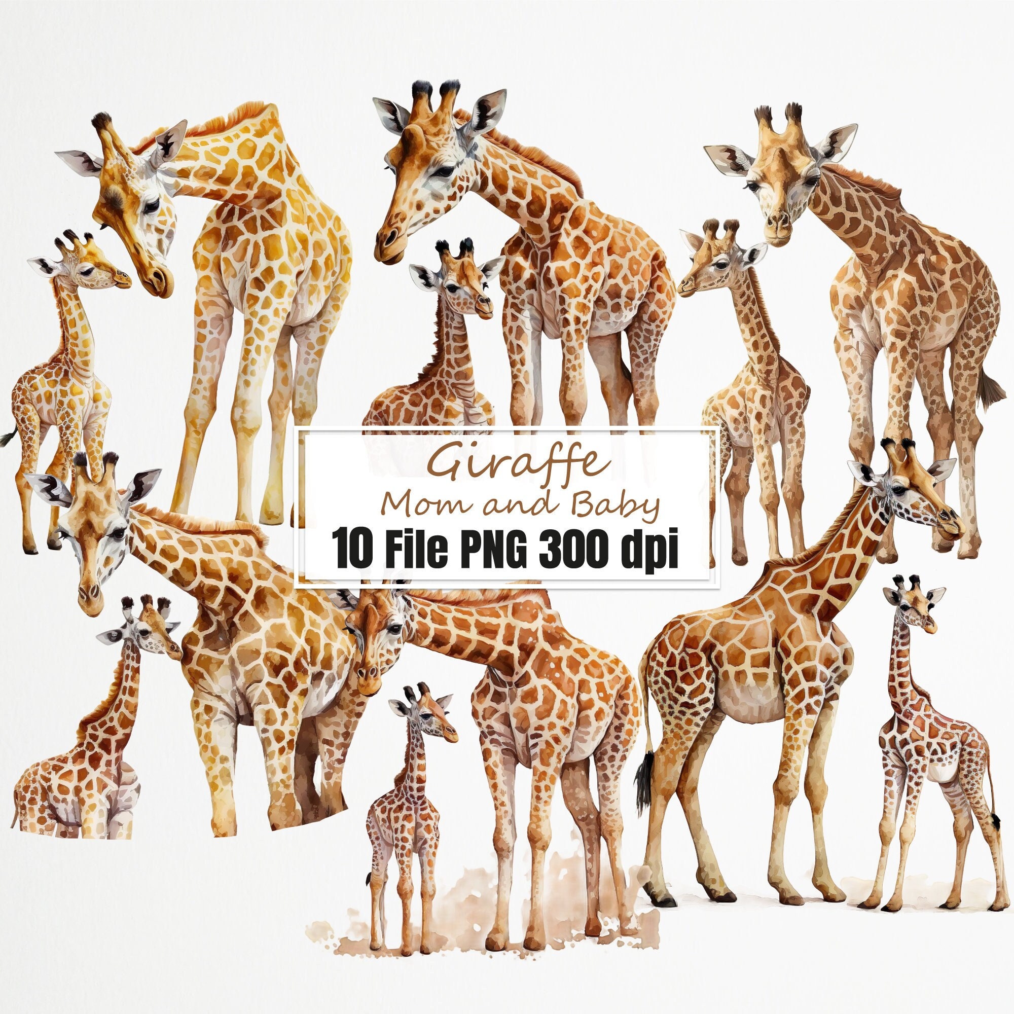 Giraffe Png Giraffe Mom and Baby Watercolor Clipart Animal - Etsy