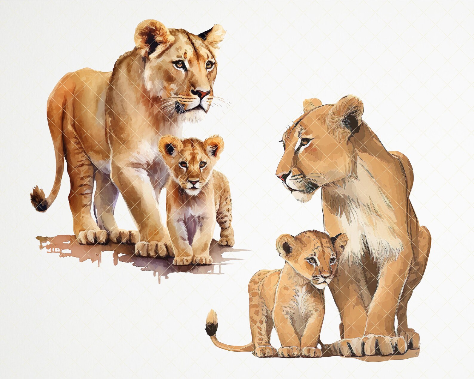 Lion Png, Lion Mom and Baby Watercolor Clipart, Animal Mother Day PNG ...