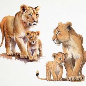 Lion Png, Lion Mom and Baby Watercolor Clipart, Animal Mother Day PNG ...