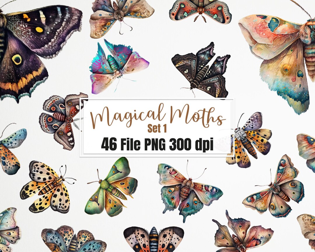 Magical Moths Watercolor Clipart PNG Bundle SET.1 Designs Digital ...