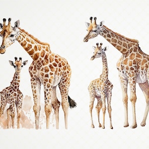 Giraffe Png, Giraffe Mom and Baby Watercolor Clipart, Animal Mother Day ...