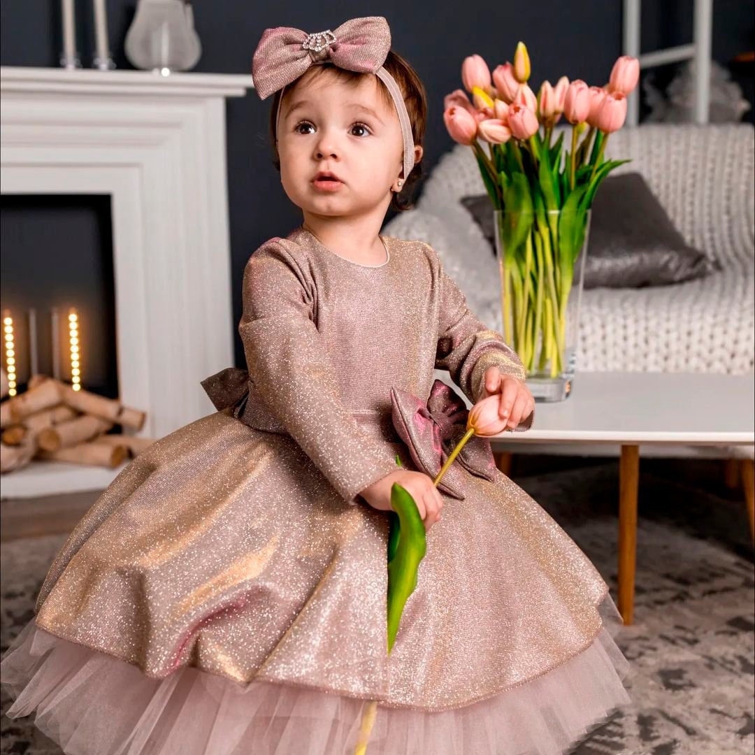 First Birthday Dress, 1st Birthday Dress,dress Girls Blush Dress, Girls ...