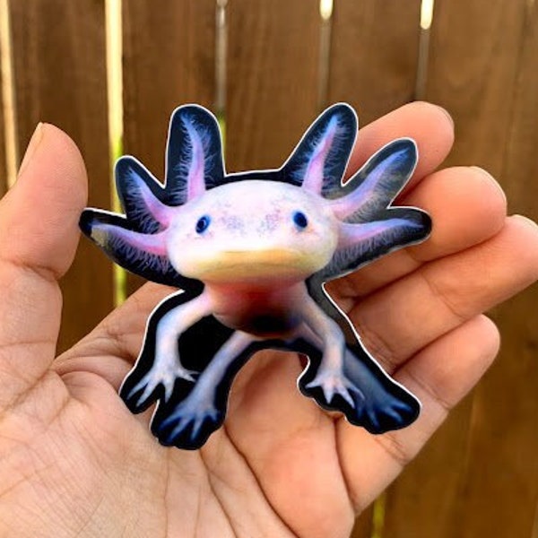 Axolotl - Etsy