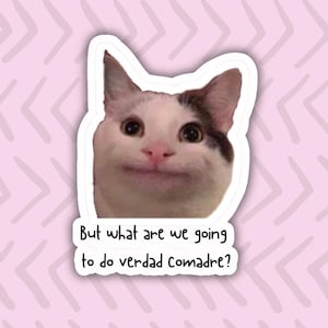 Funny Cat Meme Sticker, Spanish Stickers, Funny Latino Decals, Water ...