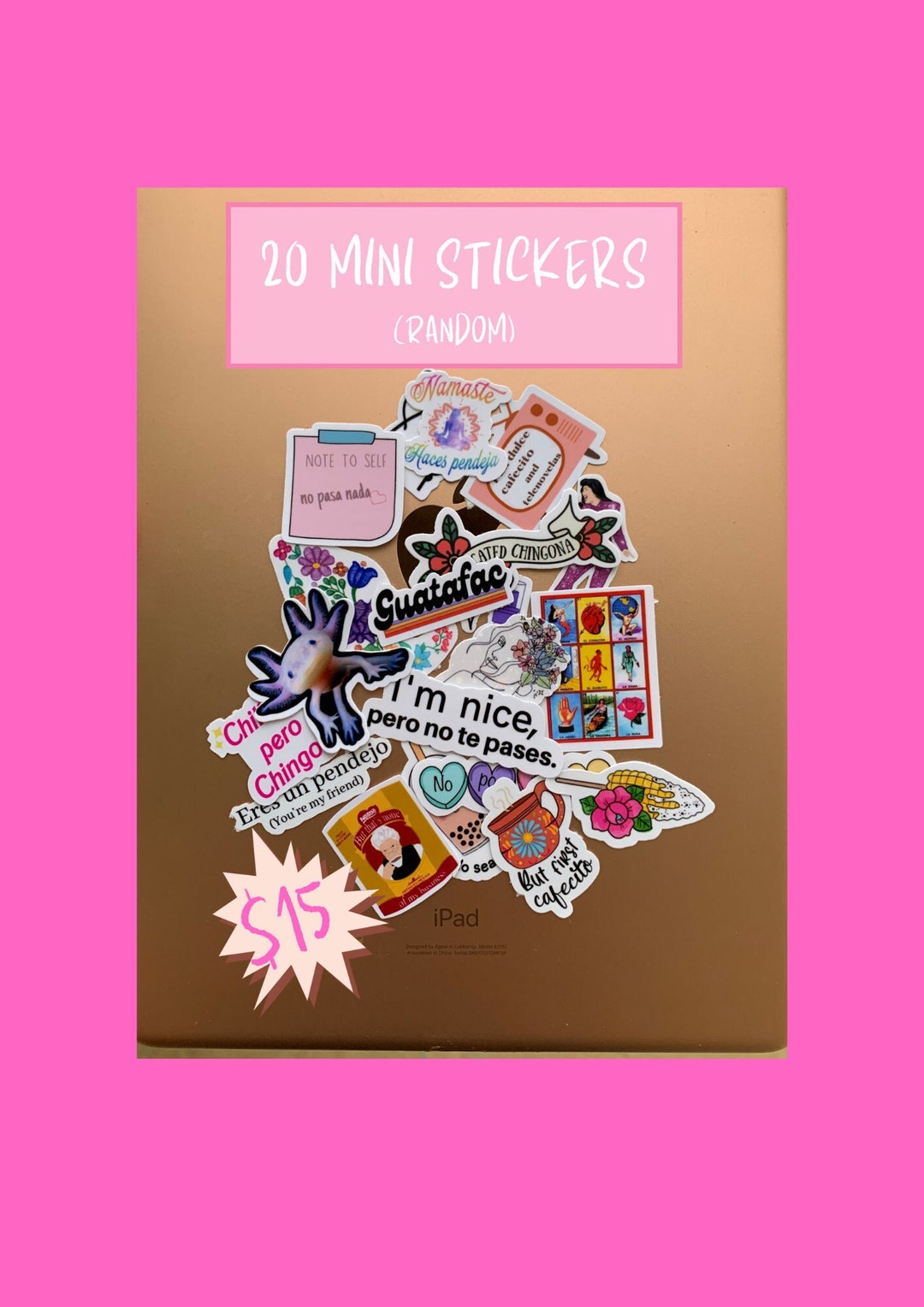 20 Mini Sticker Bundle, Sticker Set, Latinx Stickers, Sticker Deal ...