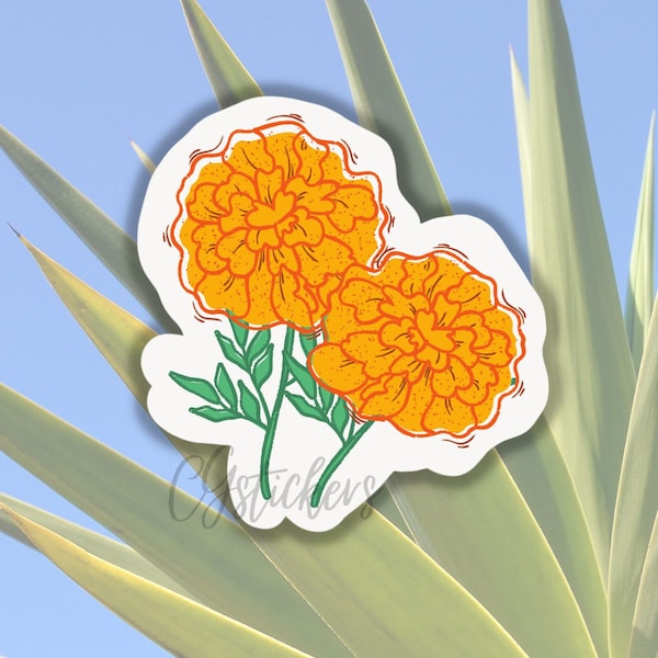 Latinx - Etsy