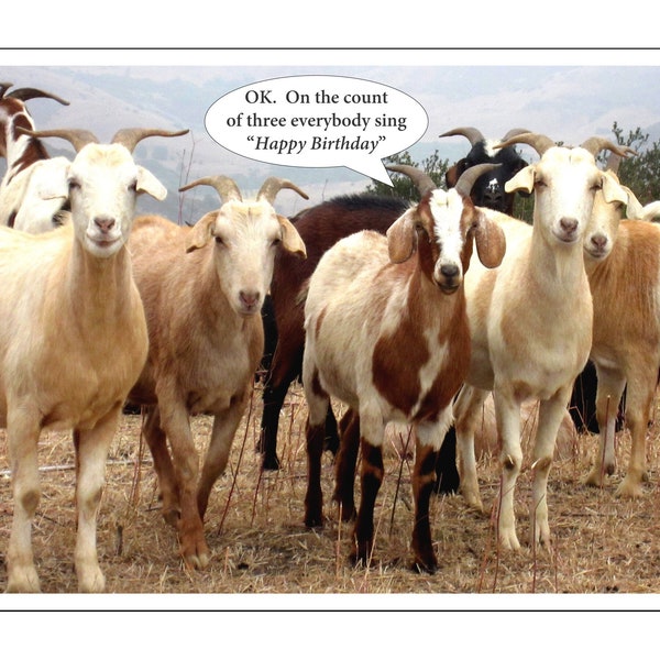 Goat Birthday Card - Etsy