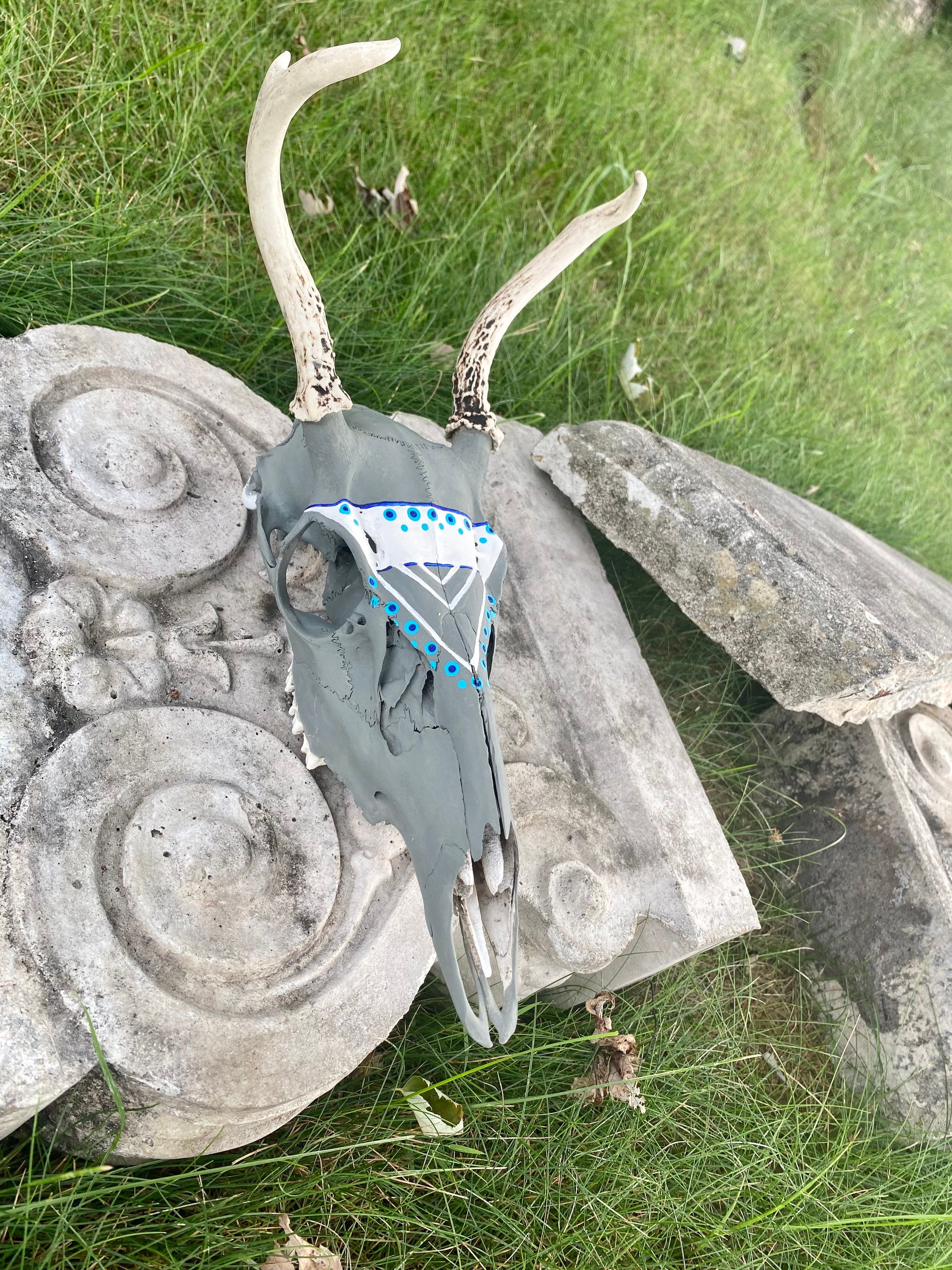 Gray Blue and White Two-point Buck Skull Wall Art Eclectic - Etsy