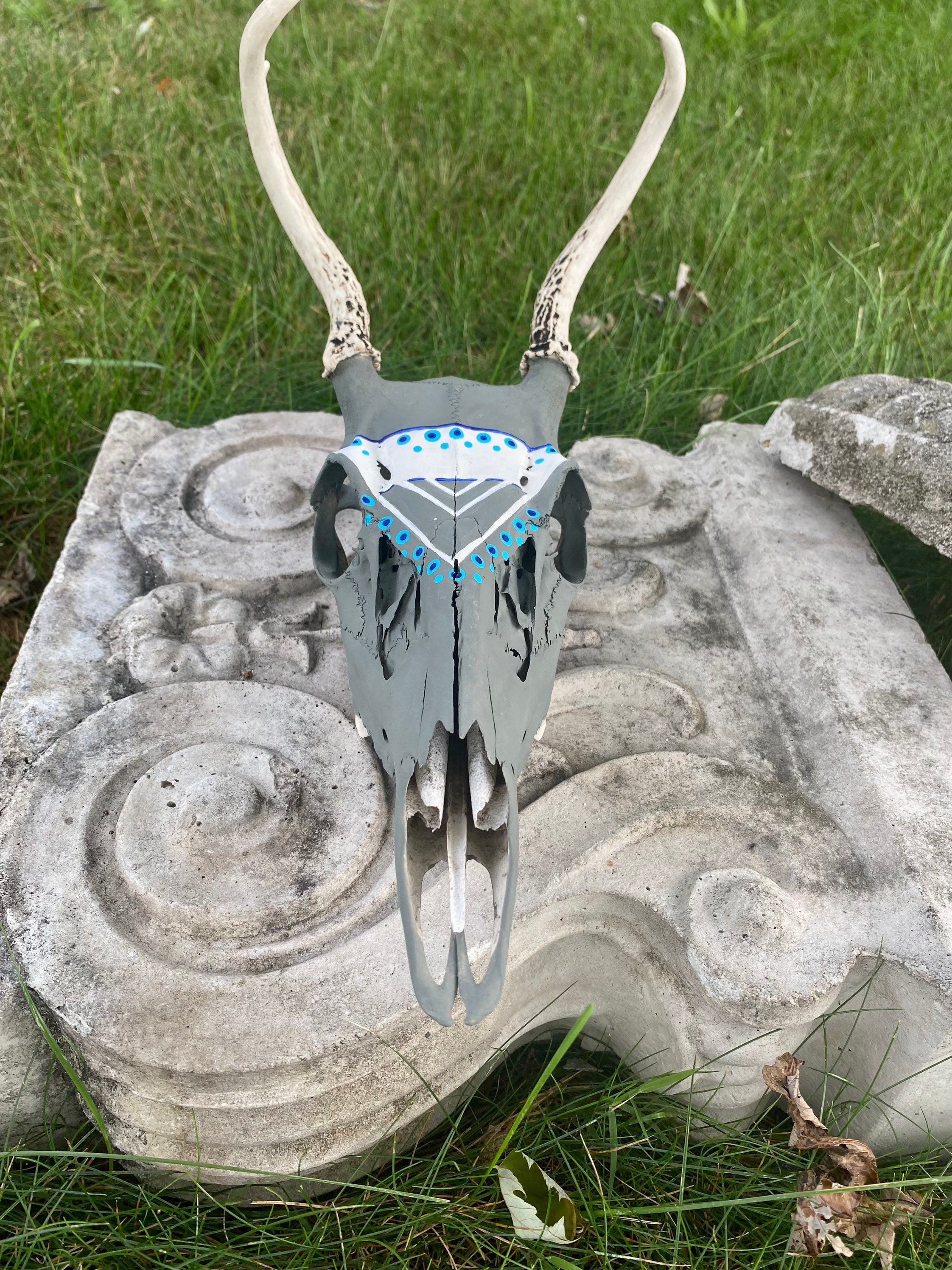 Gray Blue and White Two-point Buck Skull Wall Art Eclectic - Etsy