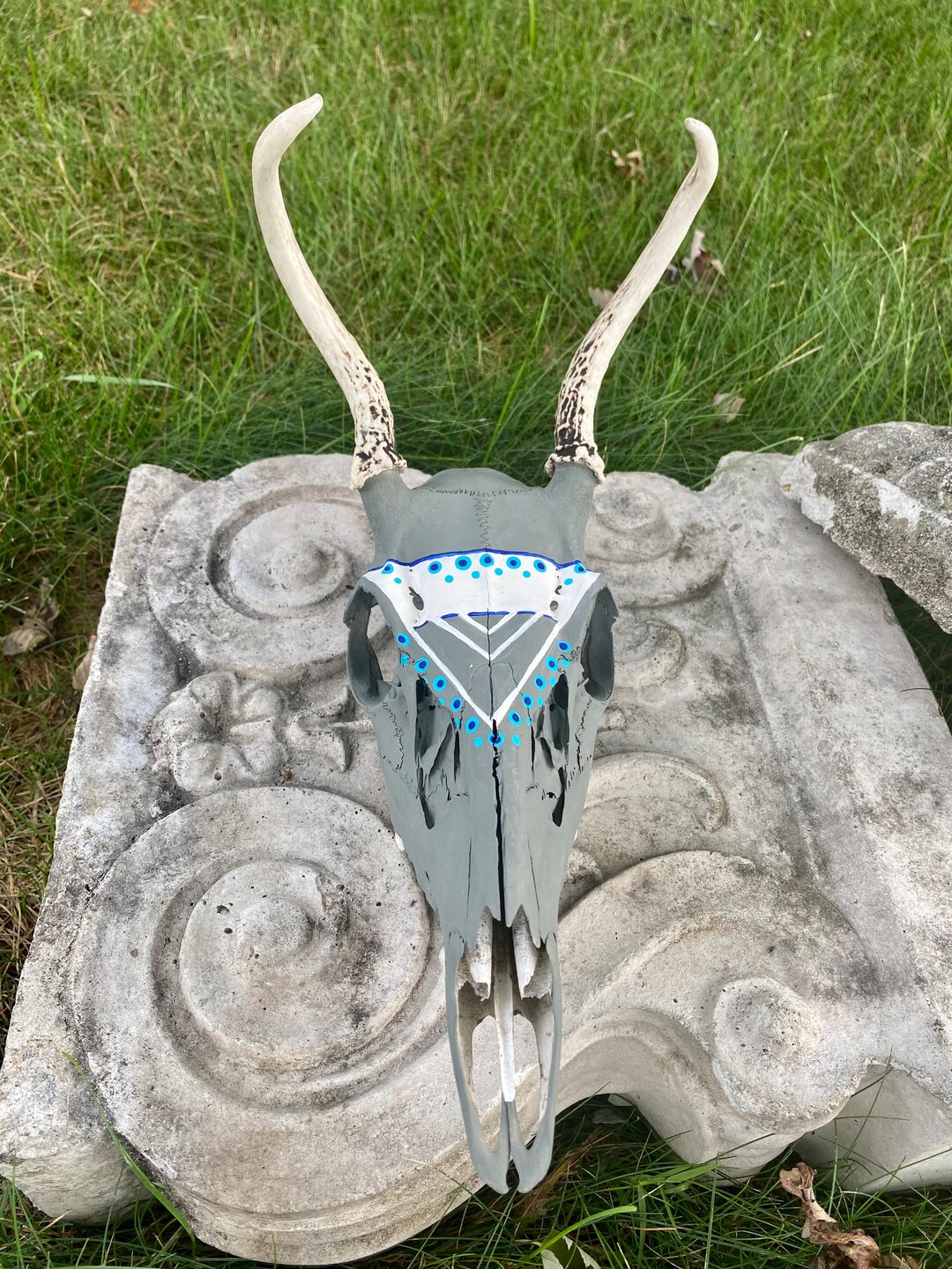 Gray Blue and White Two-point Buck Skull Wall Art Eclectic - Etsy