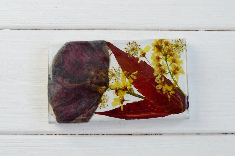 Real Poppy Flower Smoking Box Joint Holder Cigarette Case - Etsy