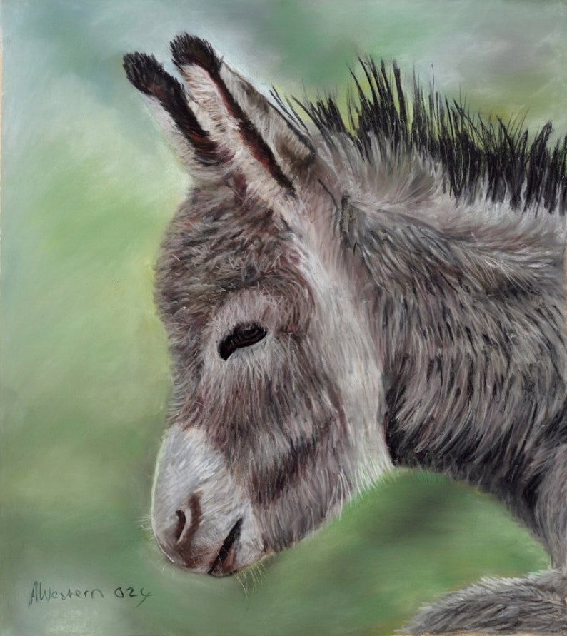 Original Painting of a DONKEY - Etsy