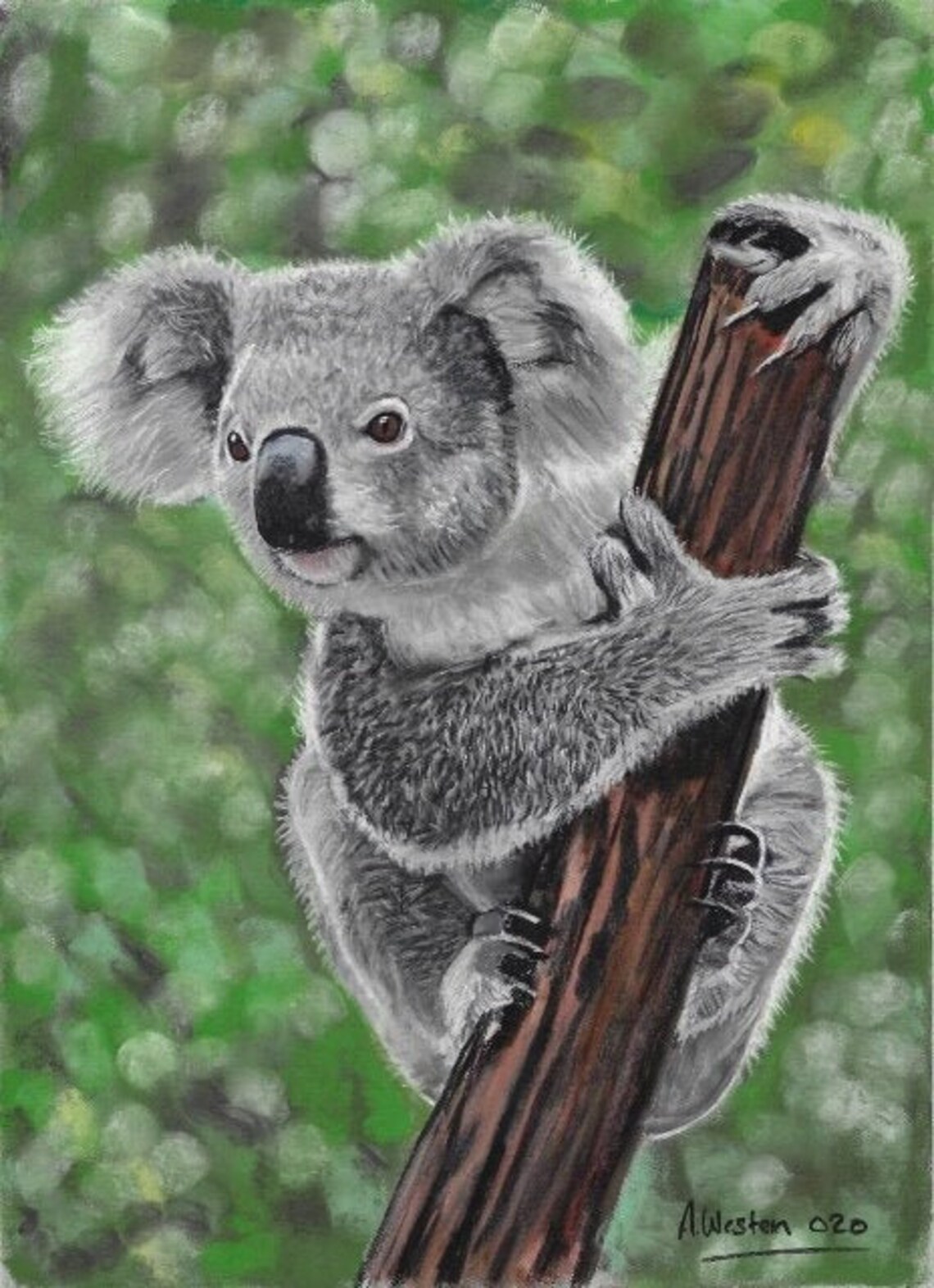 Pastel Koala Bear Painting: Wildlife Art for Nursery Decor - Etsy