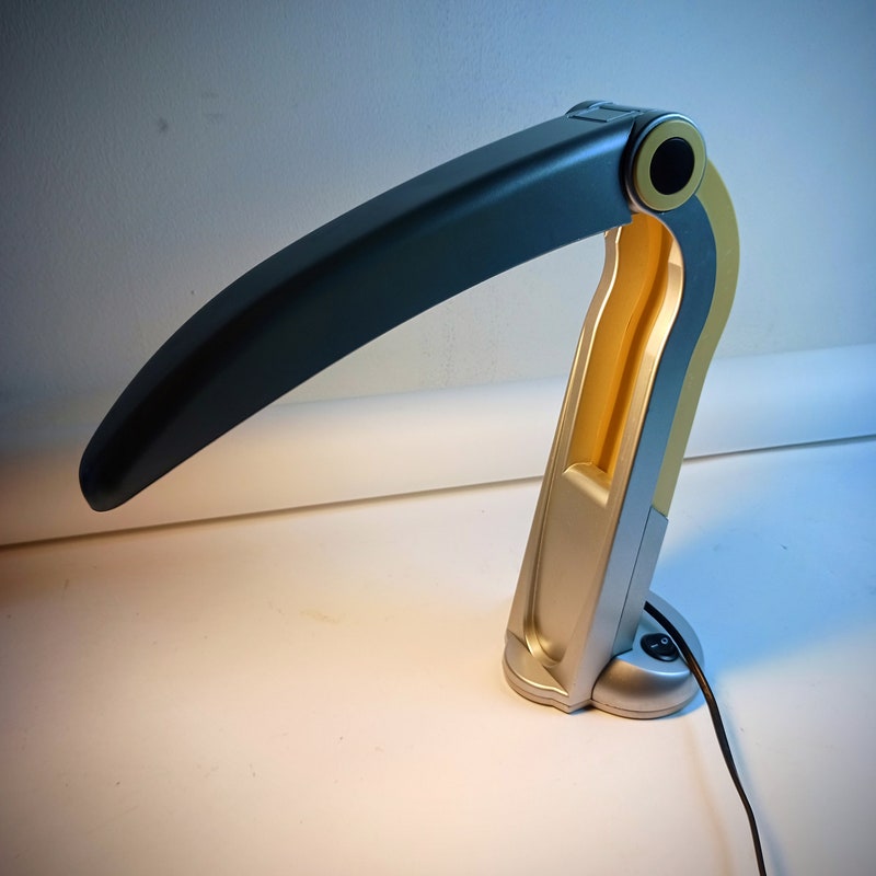 Toucan Lamp - Etsy