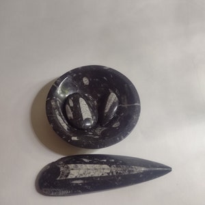 Orthoceras Fossil Bowl Set With Three Separate Squid Fossil - Etsy
