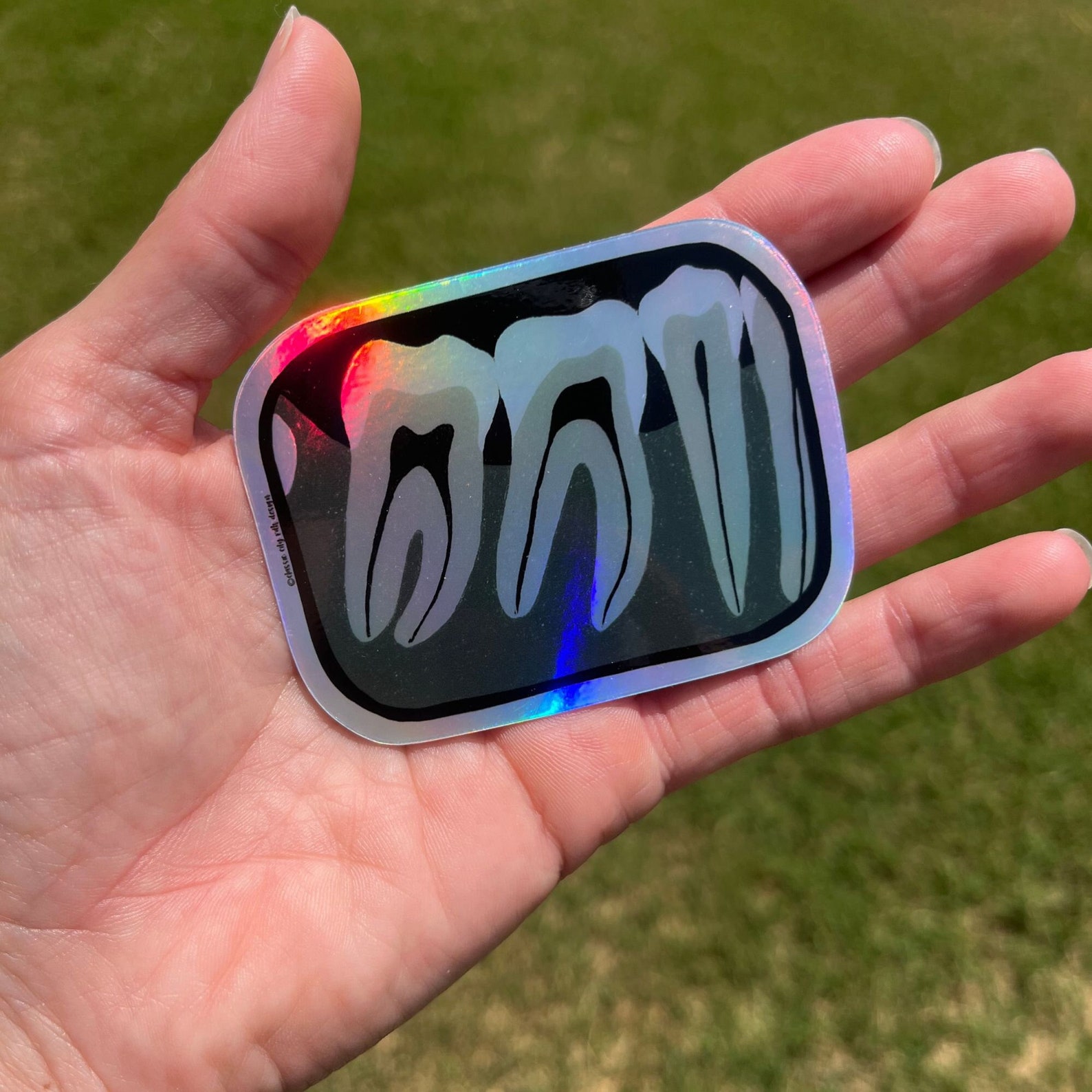 Dental X-ray Teeth Sticker for Dental Hygienist Dental - Etsy