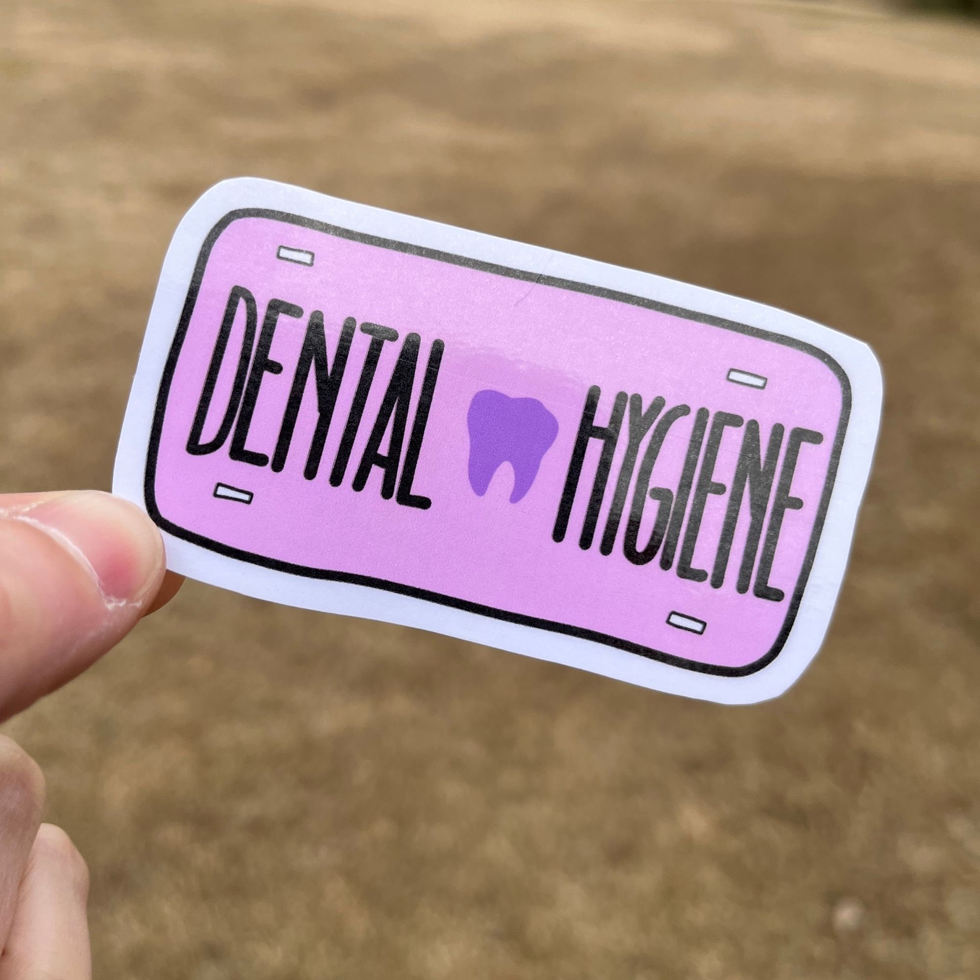 Dental Hygiene Sticker Bundle for Dental Hygienist RDH - Etsy
