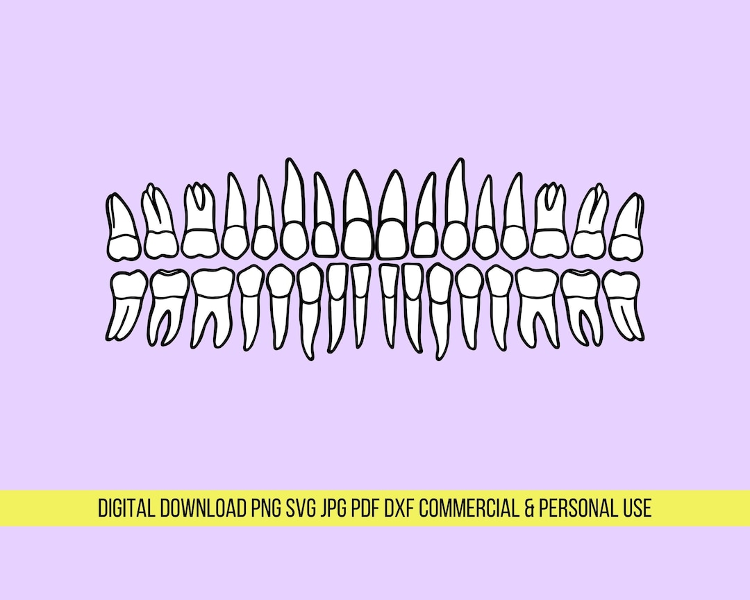 Dental Teeth SVG Files, Full Arch Digital Download for Cricut or ...
