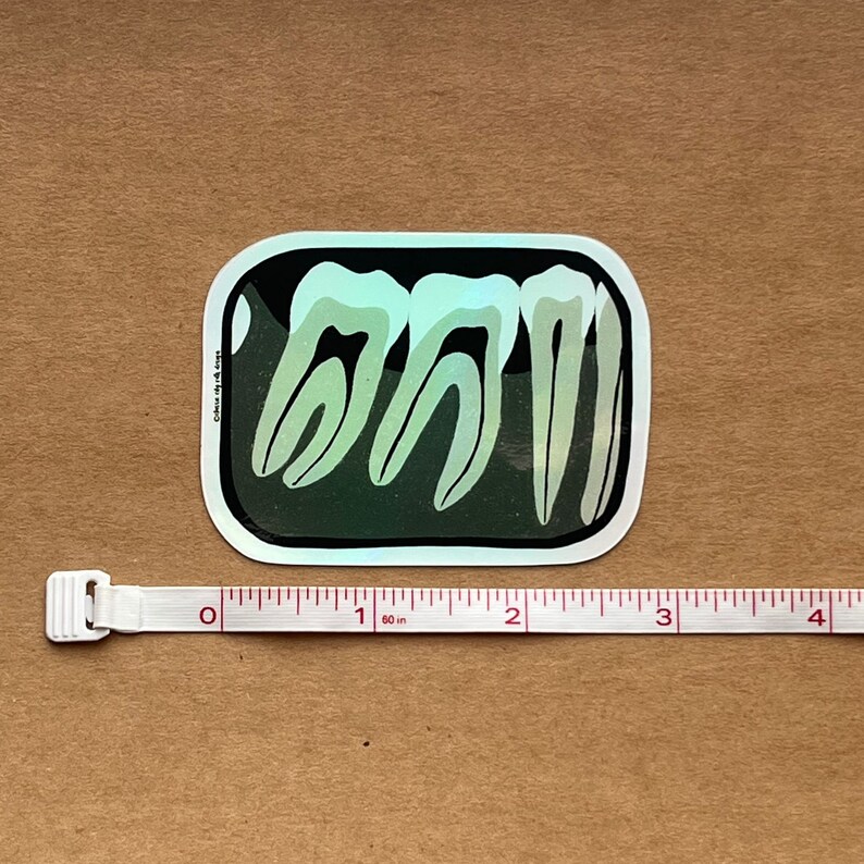 Dental X-ray Teeth Sticker for Dental Hygienist Dental - Etsy