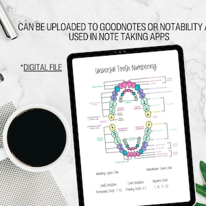 Universal Tooth Numbering Chart Available as Instant Digital Download ...
