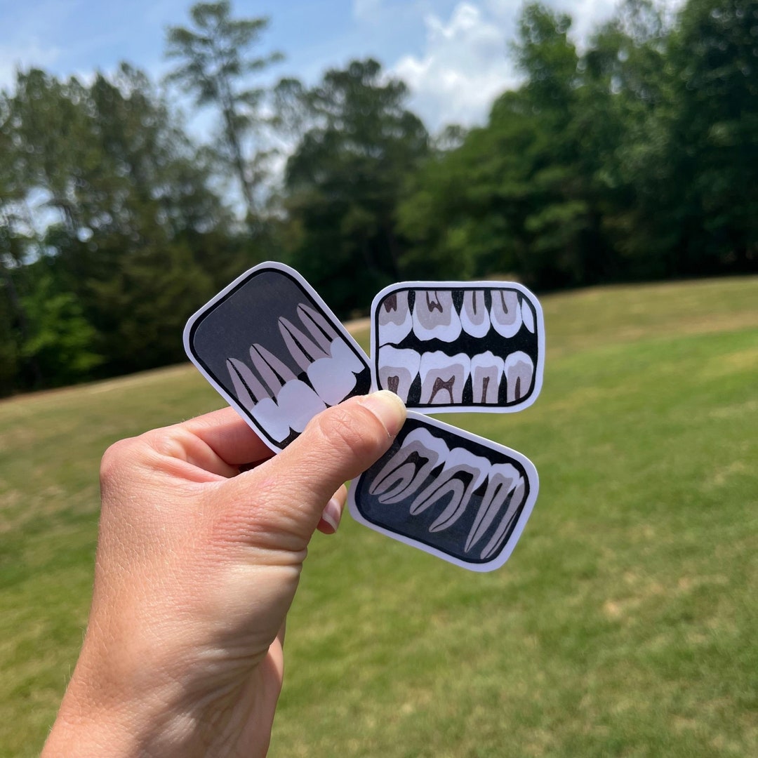 Dental X-ray Teeth Sticker Pack for Dental Hygienist, Dental Assistant ...
