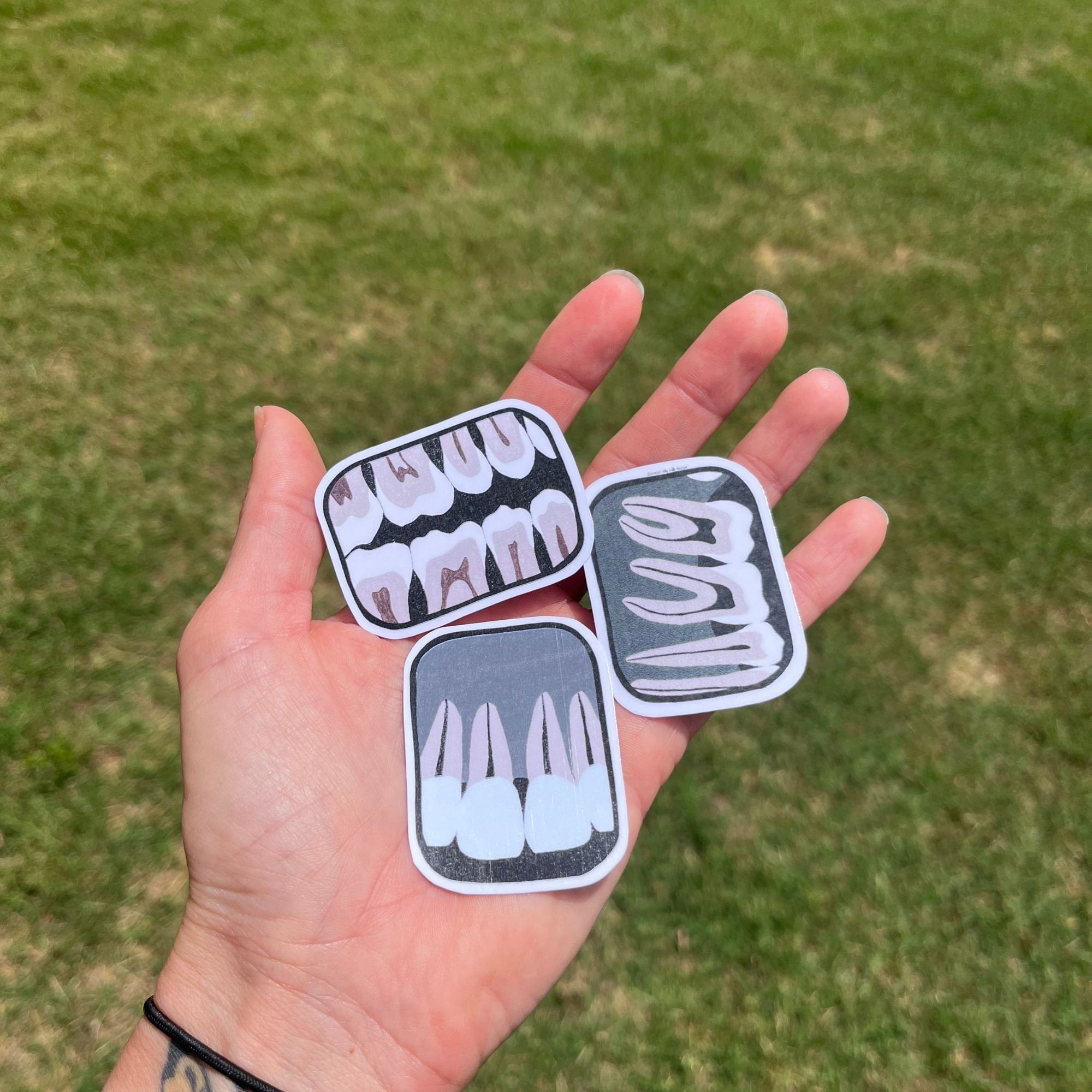 Dental X-ray Teeth Sticker Pack for Dental Hygienist Dental - Etsy