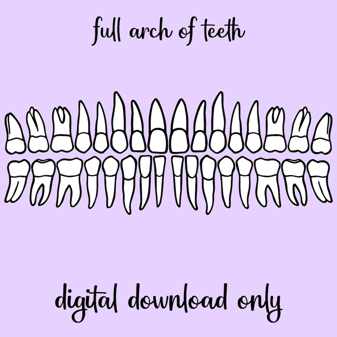 Dental Teeth SVG Files, Full Arch Digital Download for Cricut or ...