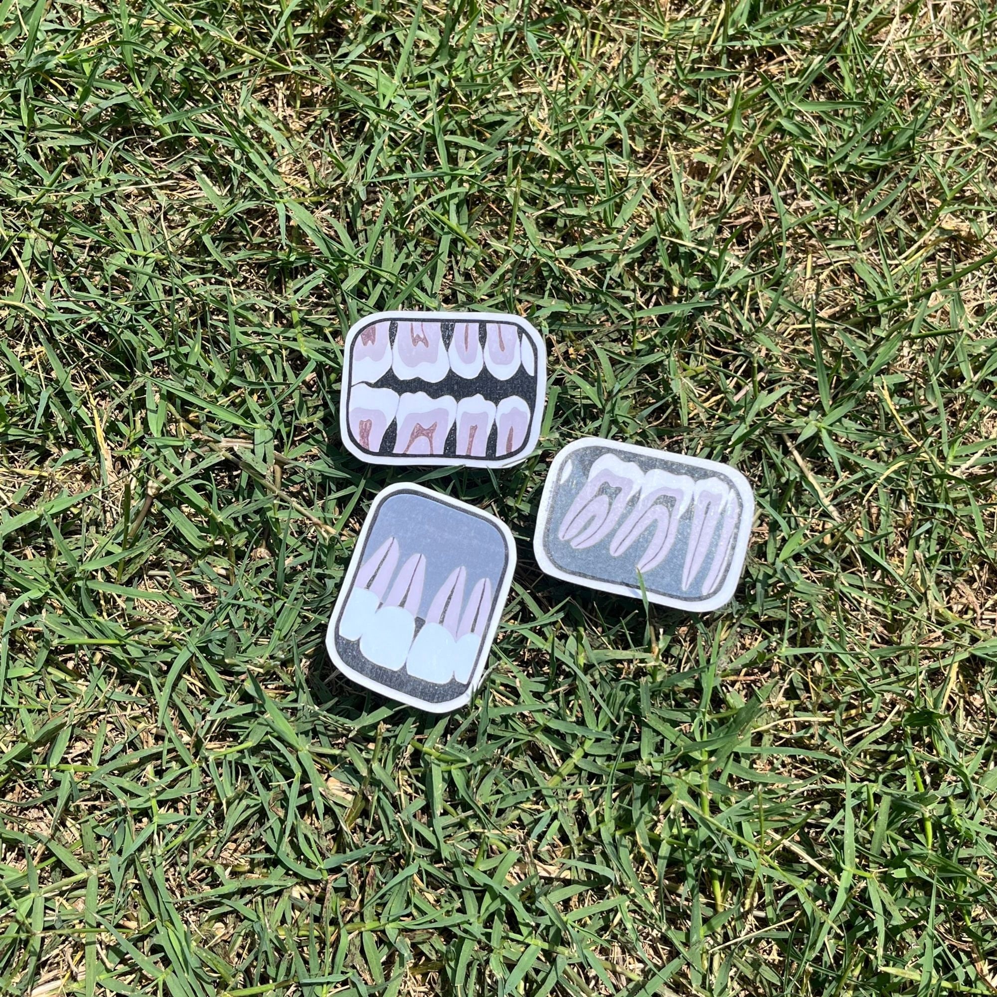 Dental X-ray Teeth Sticker Pack for Dental Hygienist, Dental Assistant ...