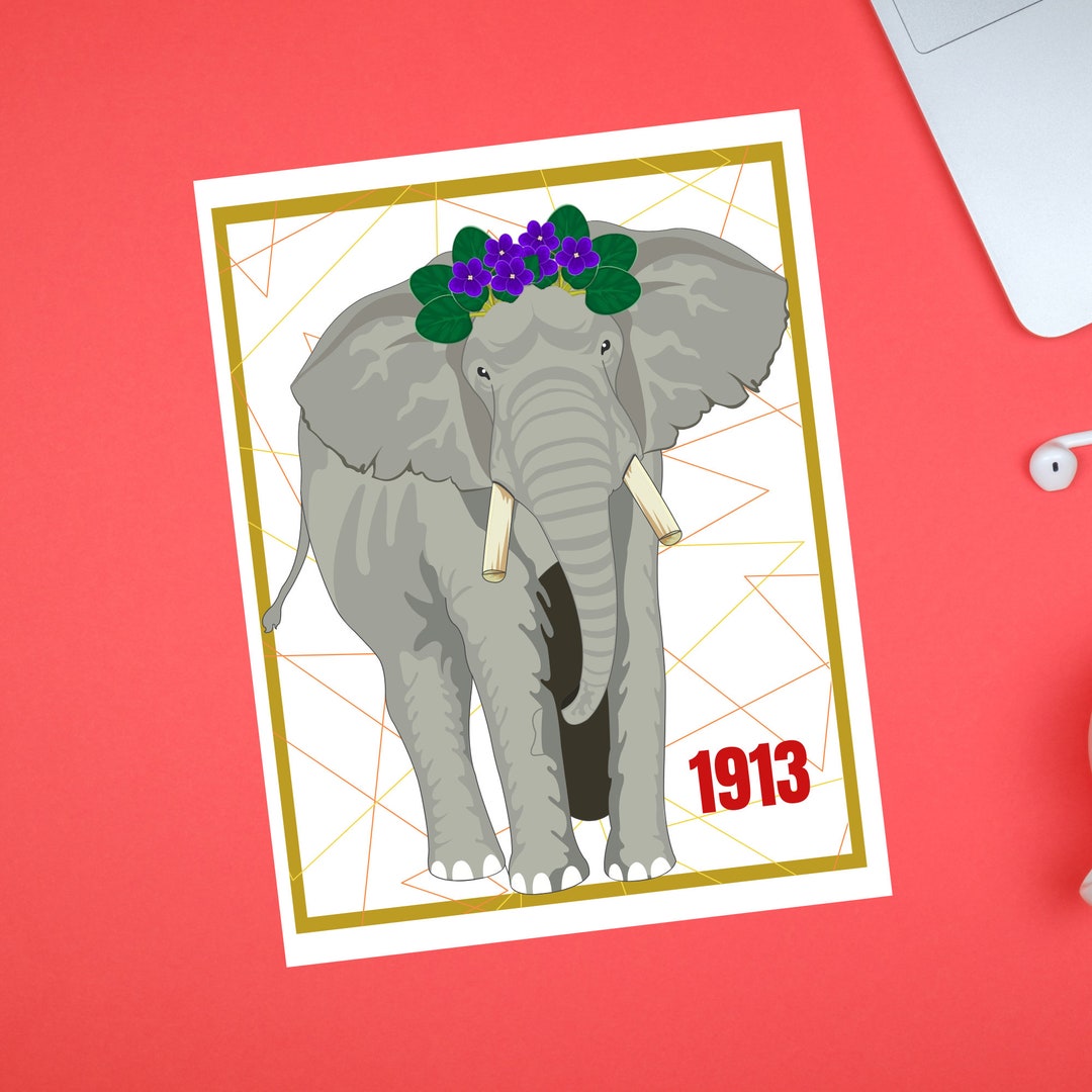 Delta Sigma Theta Paraphernalia, Delta Sigma Theta Probate, Delta ...