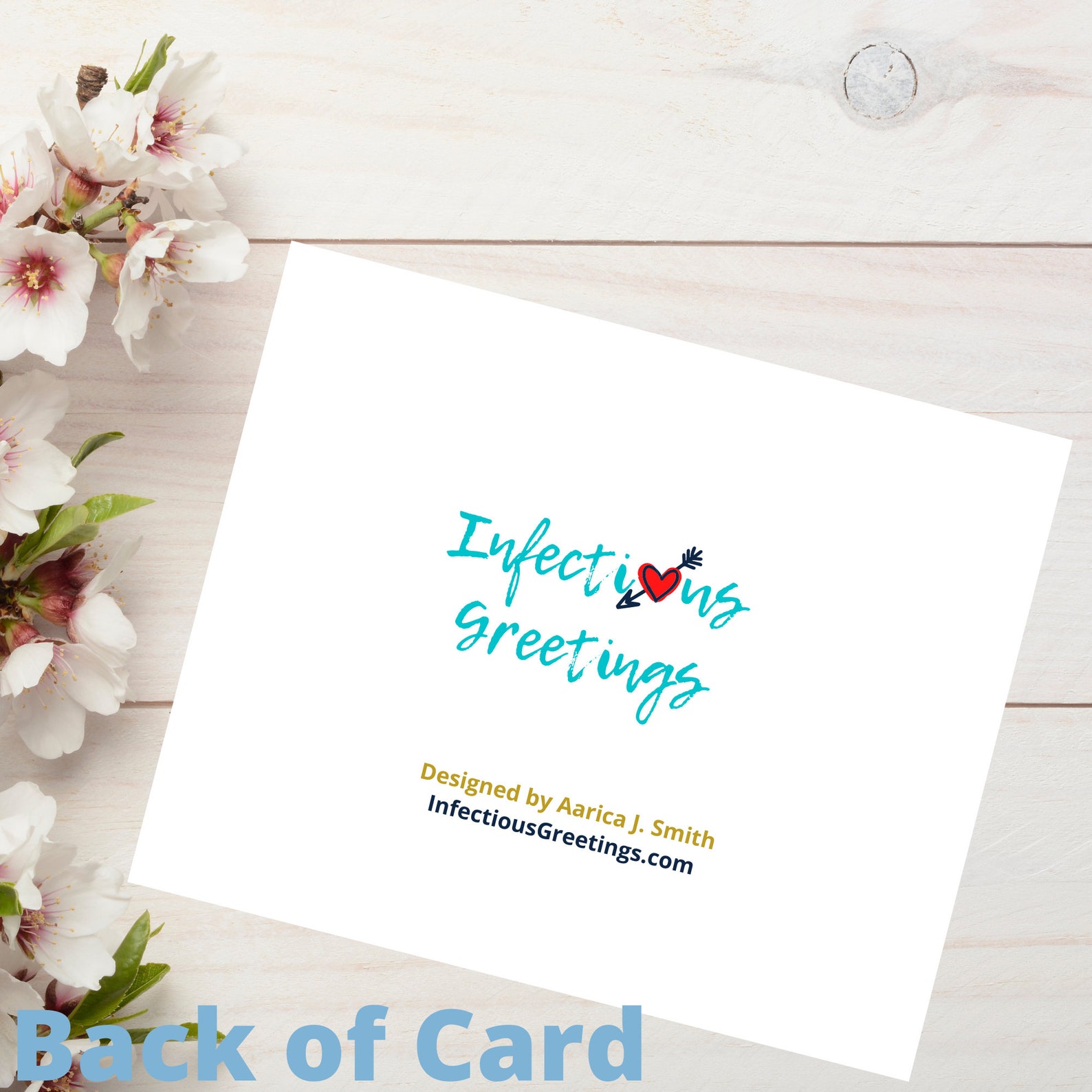 Delta Sigma Theta Paraphernalia, Delta Sigma Theta Probate, Delta ...