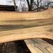 Tulip Poplar | Live Edge Wood | Reclaimed Wood Slabs | Kiln Dried Wood ...