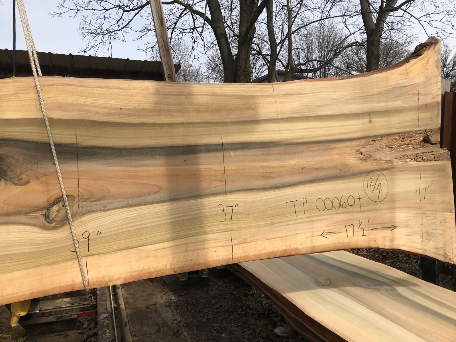 Tulip Poplar | Live Edge Wood | Reclaimed Wood Slabs | Kiln Dried Wood ...