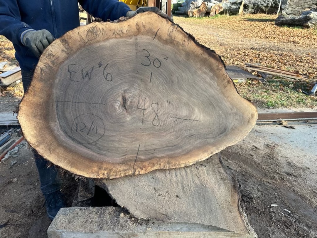 Large Black Walnut Wood Round - Etsy