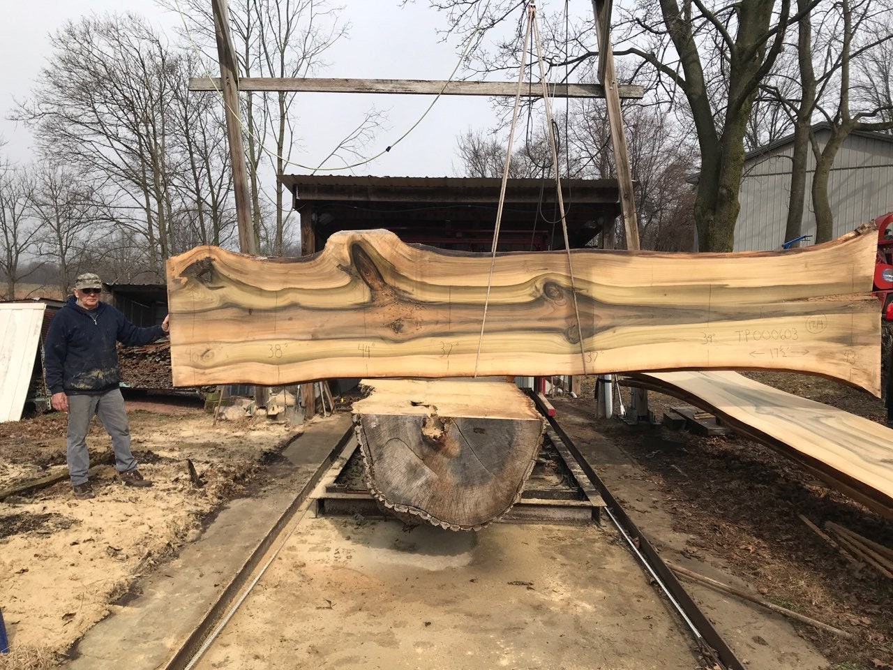 Tulip Poplar | Live Edge Wood | Reclaimed Wood Slabs | Kiln Dried Wood ...