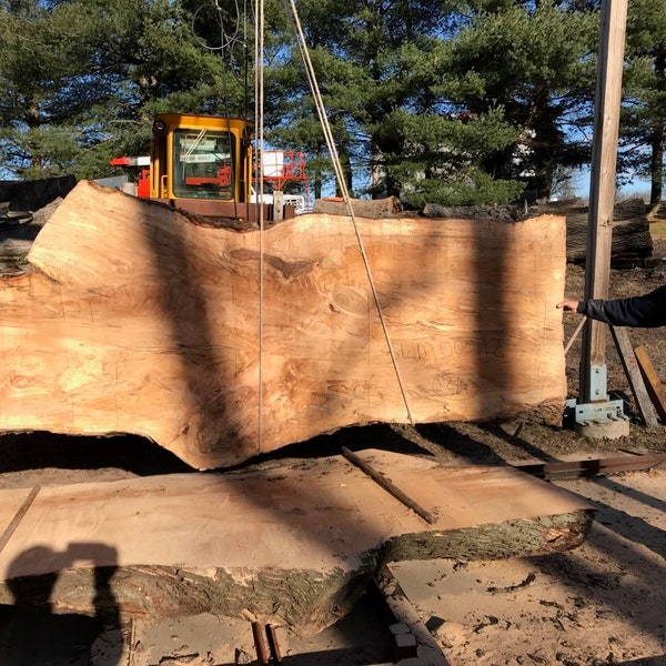 Tulip Poplar Live Edge Wood Reclaimed Wood Slabs Kiln Dried Wood for ...