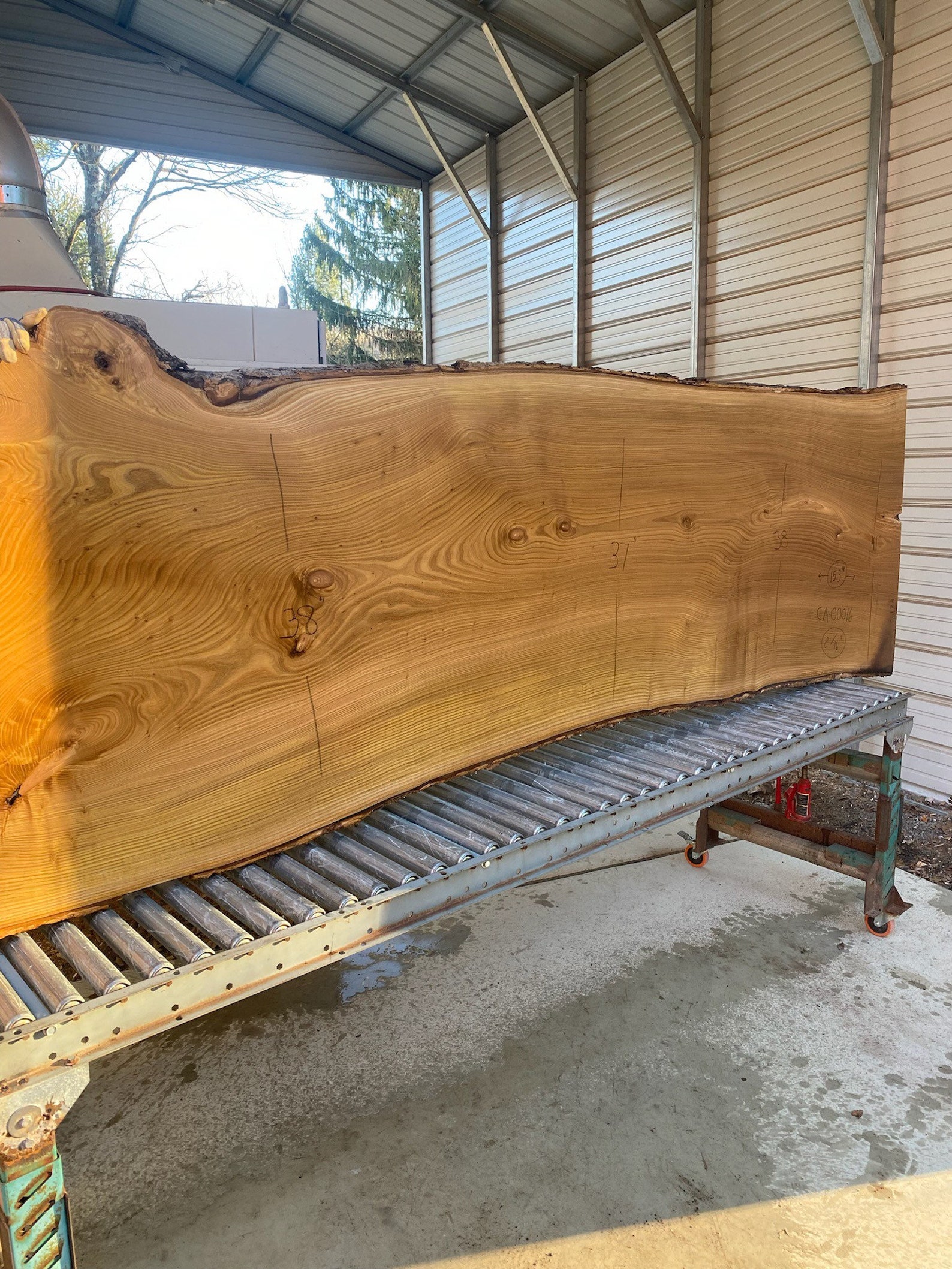 Catalpa | Live Edge Wood | Reclaimed Wood Slabs | Kiln Dried Wood for ...