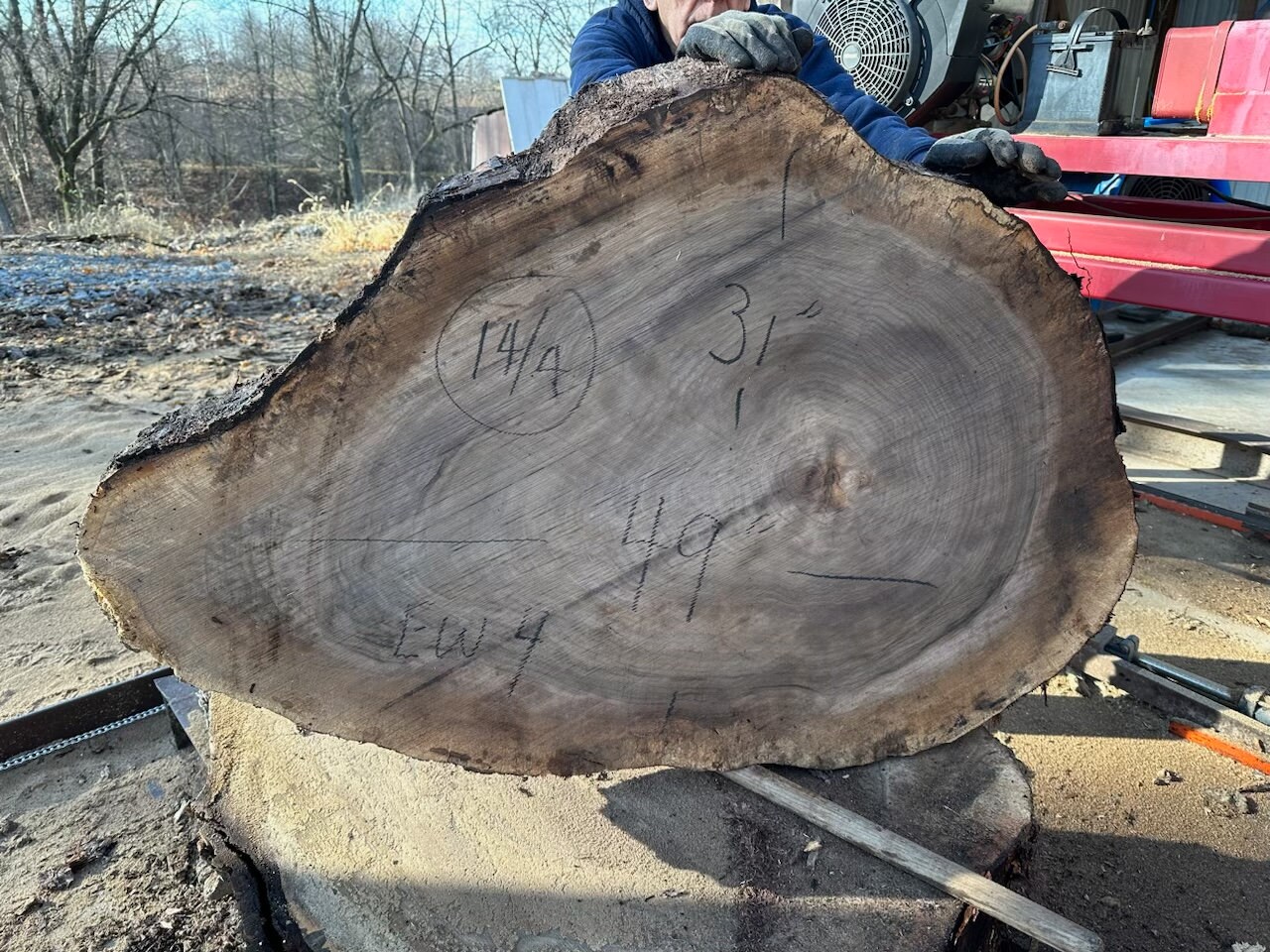 Large Black Walnut Wood Round - Etsy
