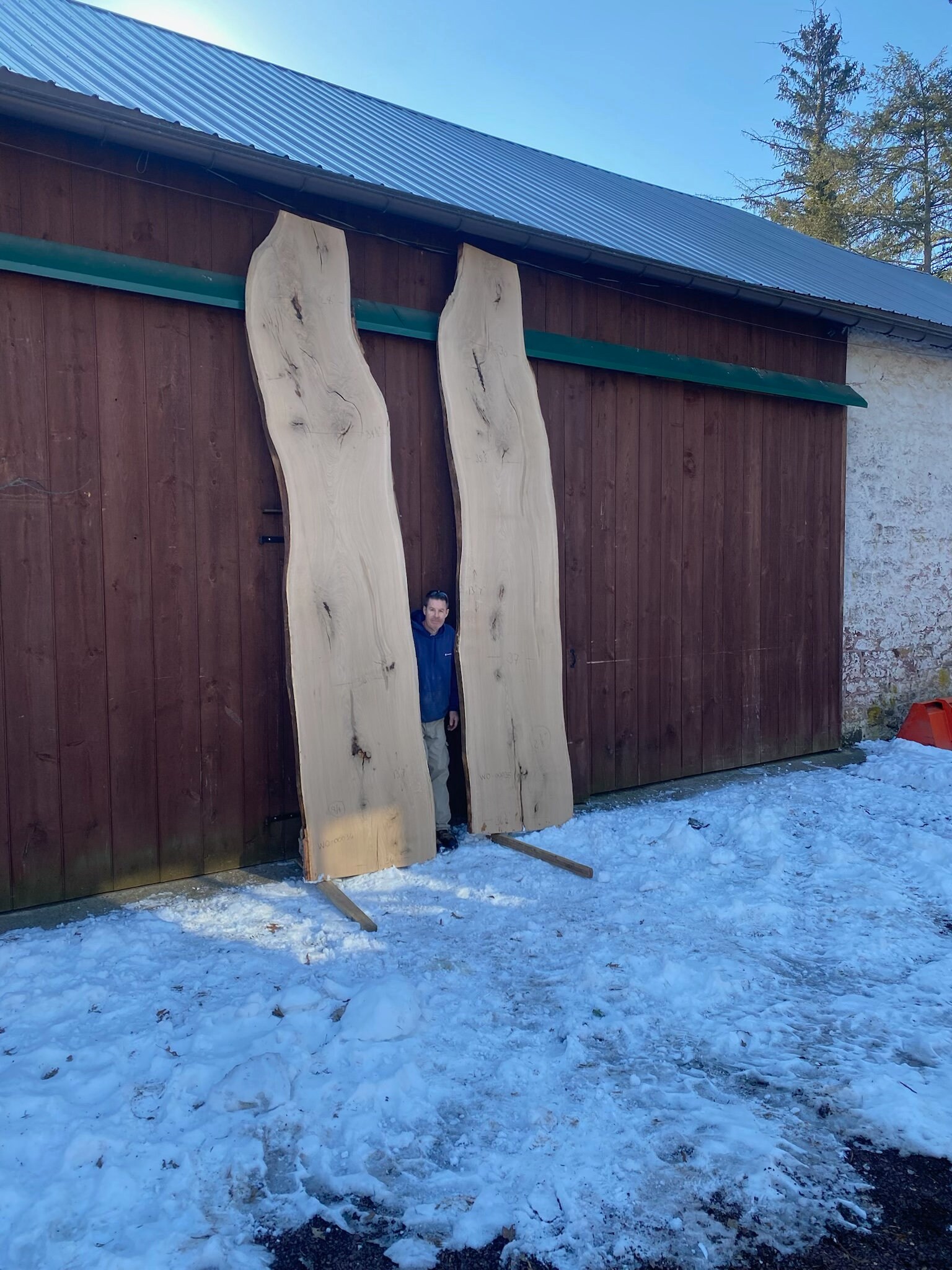 WHITE OAK Giant Wood Slabs - Etsy
