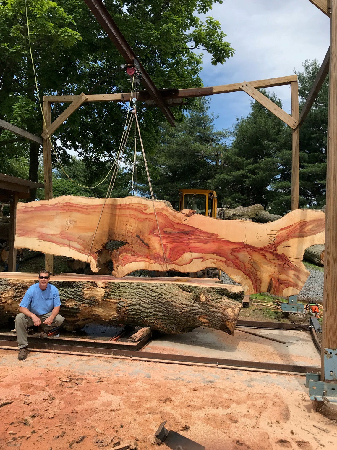 Box Elder Live Edge Wood Reclaimed Wood Slabs Kiln Dried - Etsy