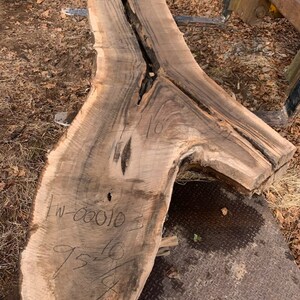 Walnut Wood Slabs: Interior Design - Etsy