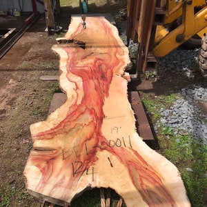 Box Elder Live Edge Wood Reclaimed Wood Slabs Kiln Dried - Etsy
