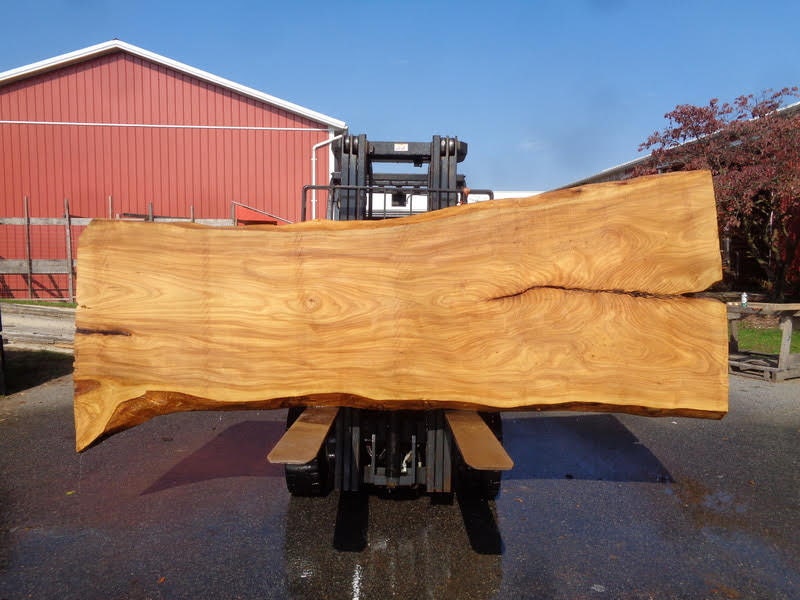Elm | Live Edge Wood | Reclaimed Wood Slabs | Kiln Dried Wood for Sale ...